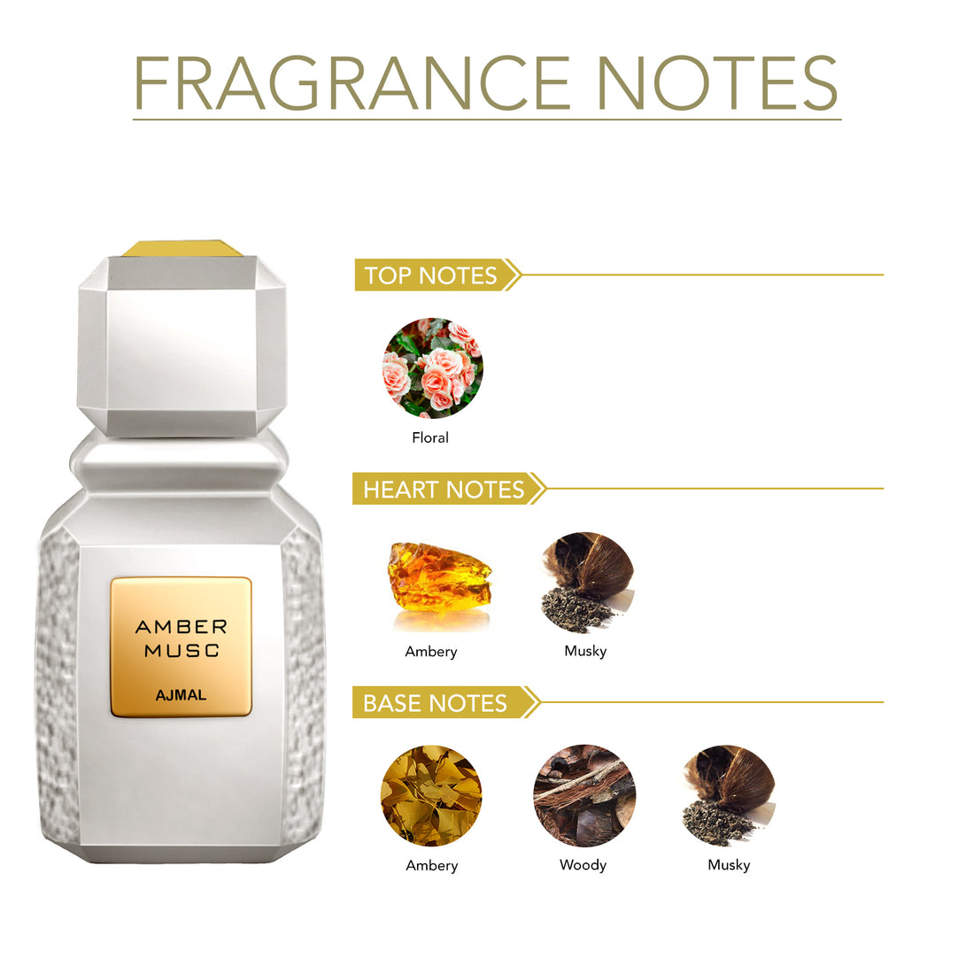 Buy Amber Musc EDP 100ml | Floral Amber & Musk Unisex Perfume – Ajmal ...