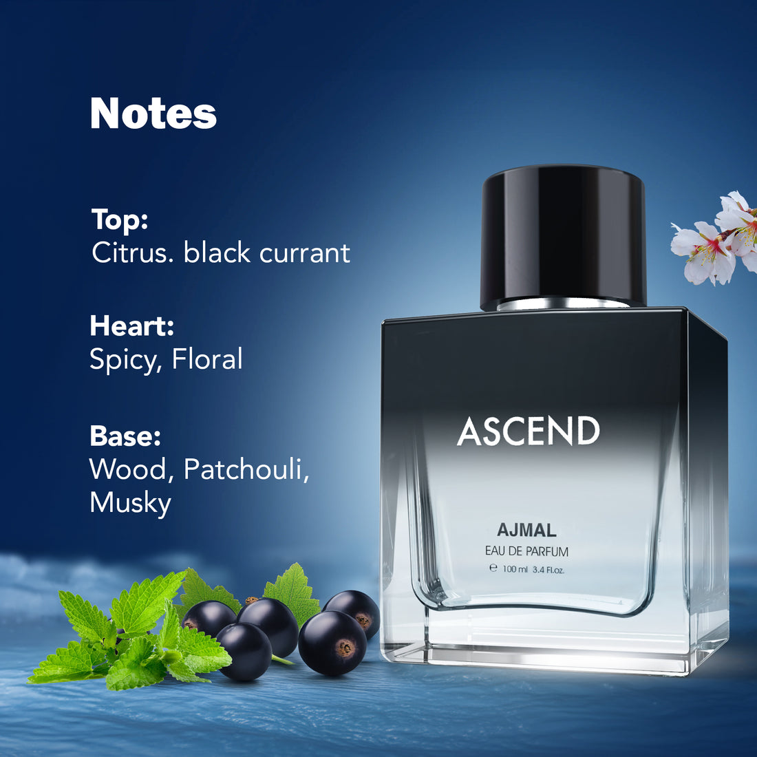 Buy Ascend EDP 100ml | Fruity Floral Woody Unisex Fragrance – Ajmal ...