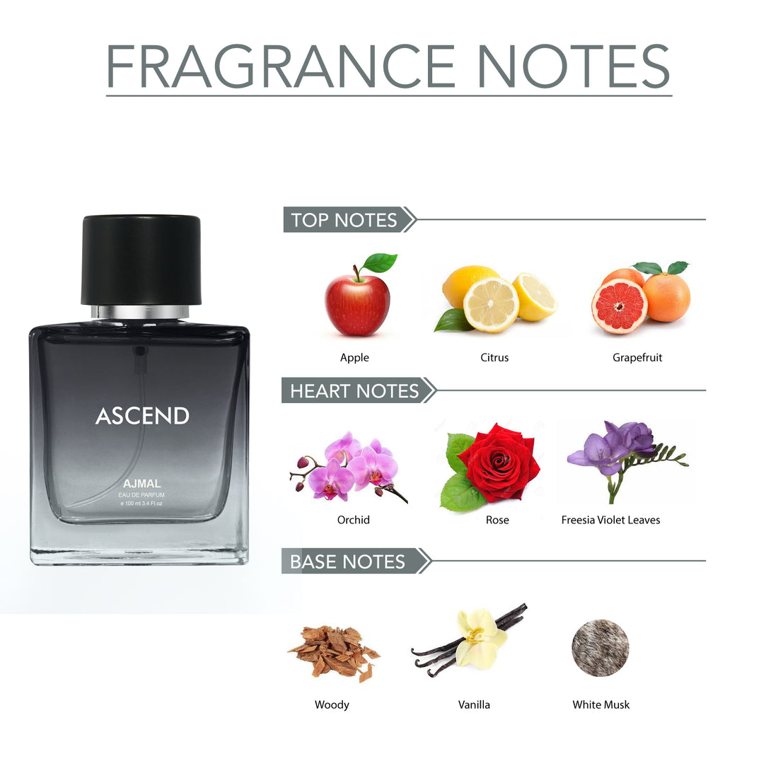 Buy Ascend EDP 100ml | Fruity Floral Woody Unisex Fragrance – Ajmal ...